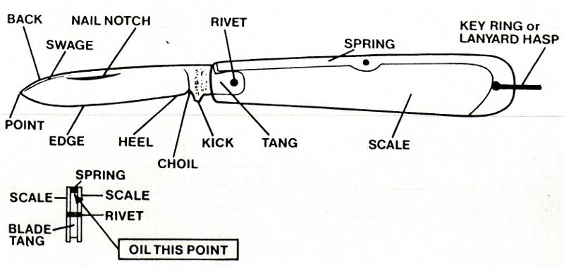 Anatomy of a Blade: A Visual Guide – Blade Keeper